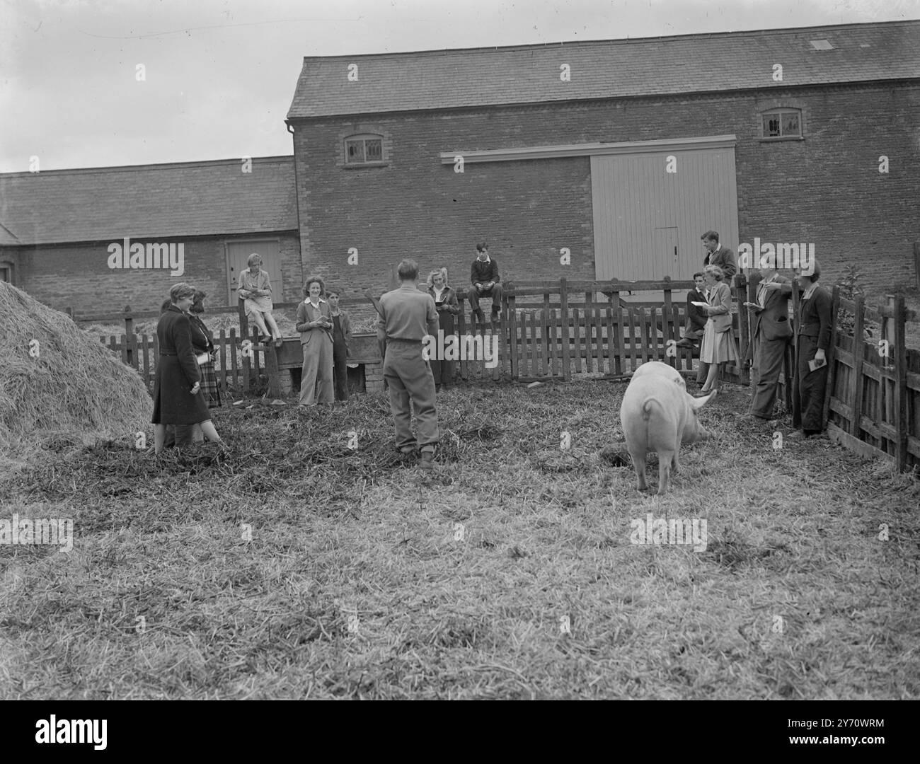 Northants weekly Farm School - Children and pigs . 1 January 1946 Stock ...