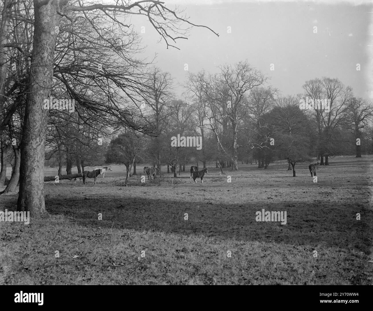 Erith park hi-res stock photography and images - Alamy