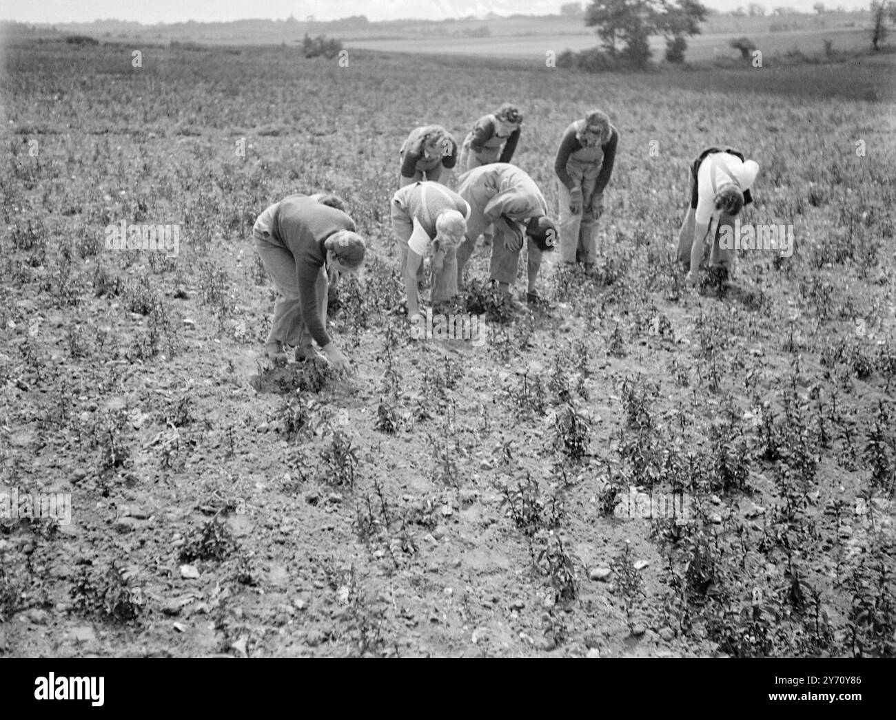 Landgirls landgirls hi-res stock photography and images - Alamy