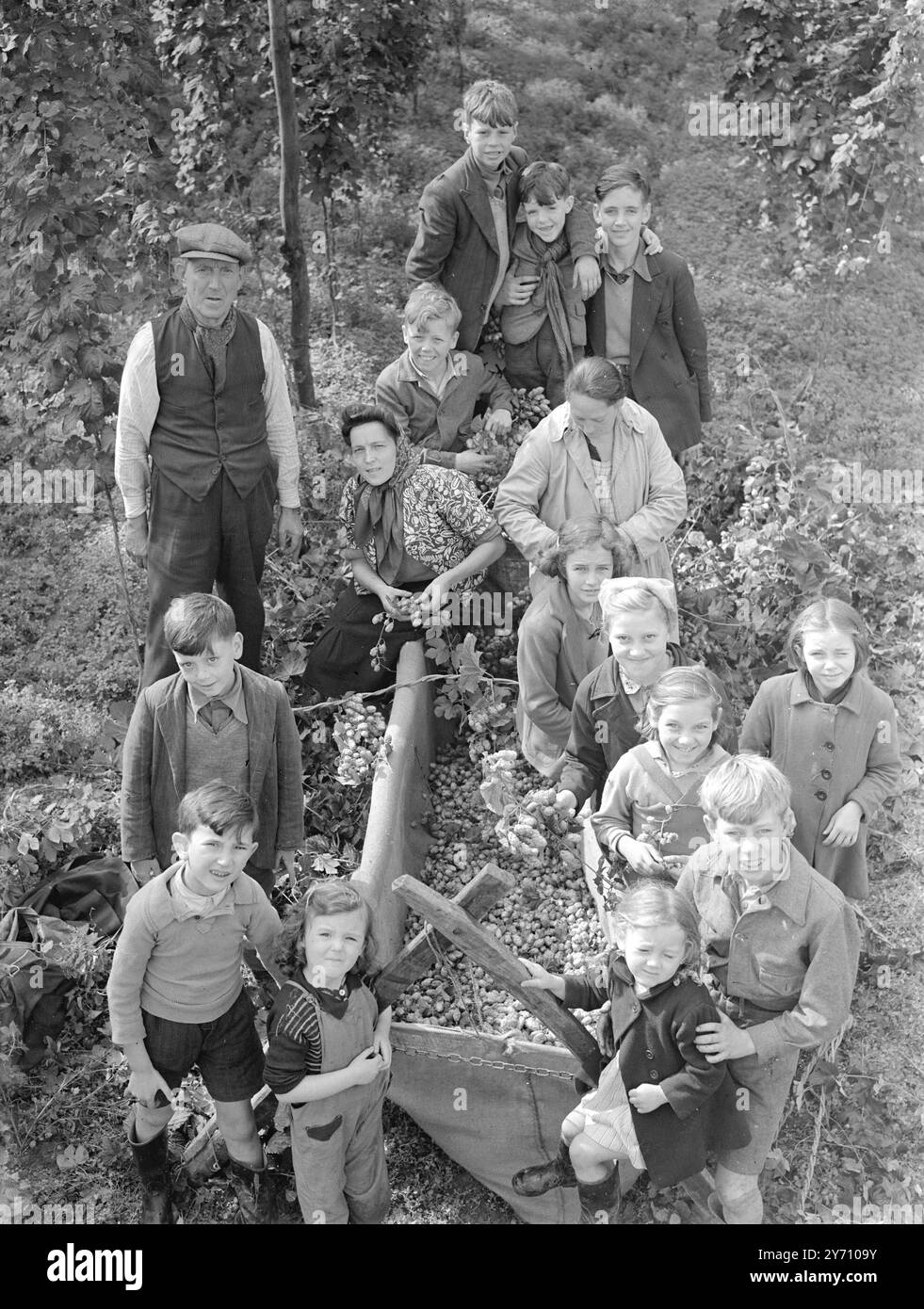 Hop Pickers . 1 January 1946 Stock Photo - Alamy