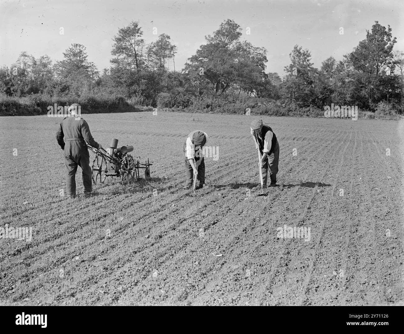 Hand hoeing hi-res stock photography and images - Alamy
