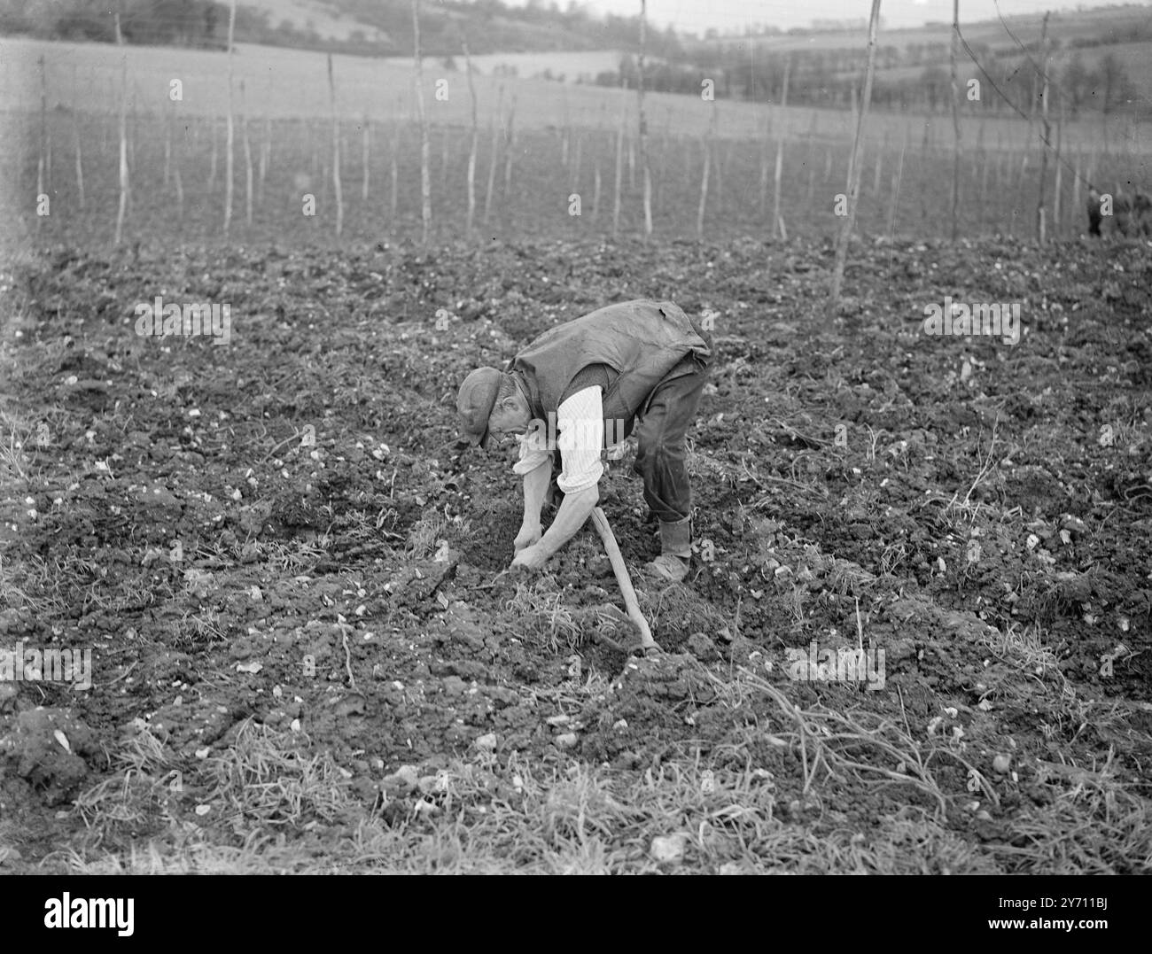 Dead stuff hi-res stock photography and images - Alamy