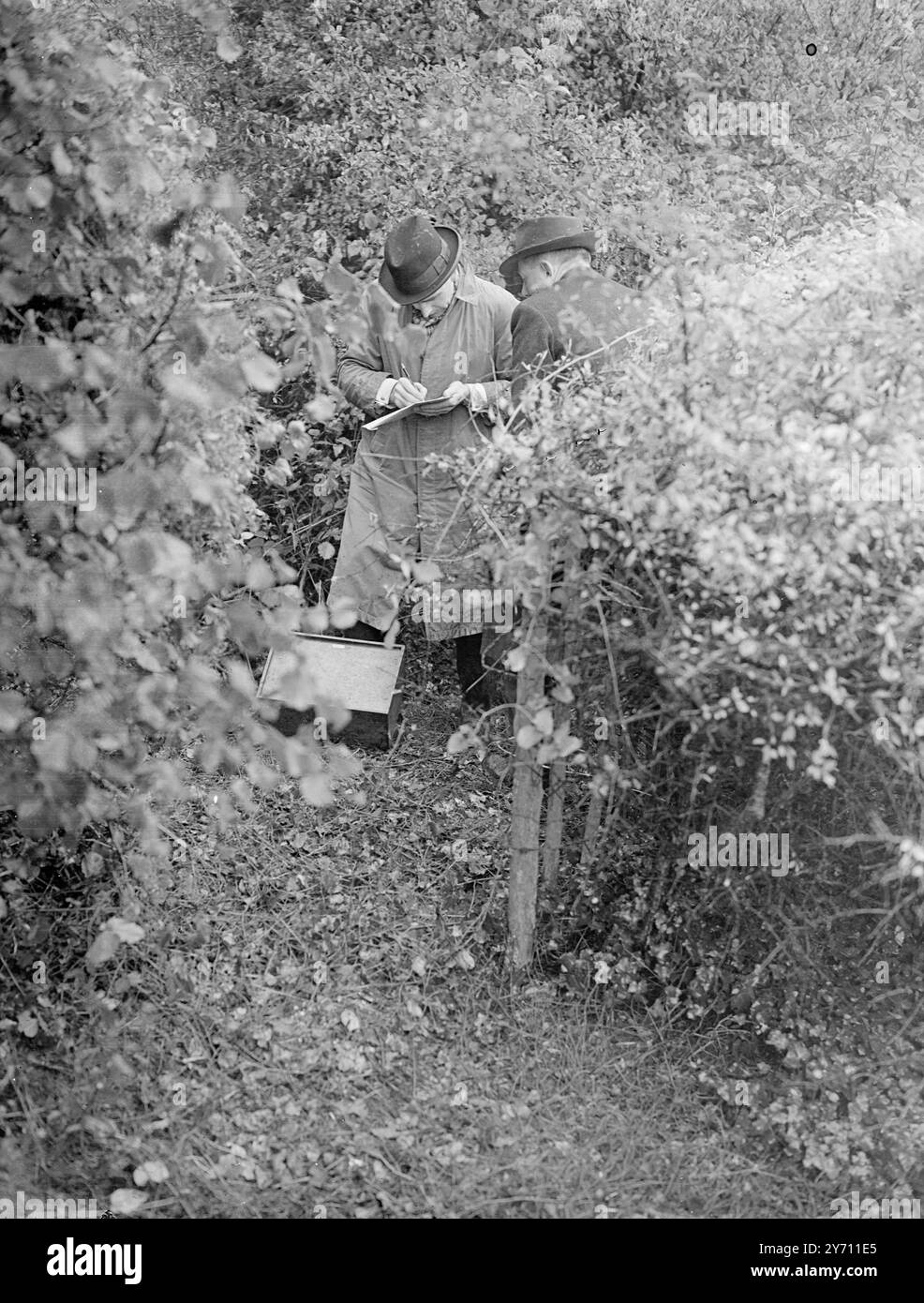 Wrotham Murder -Detectives collecting clues . 1 January 1946 Stock ...