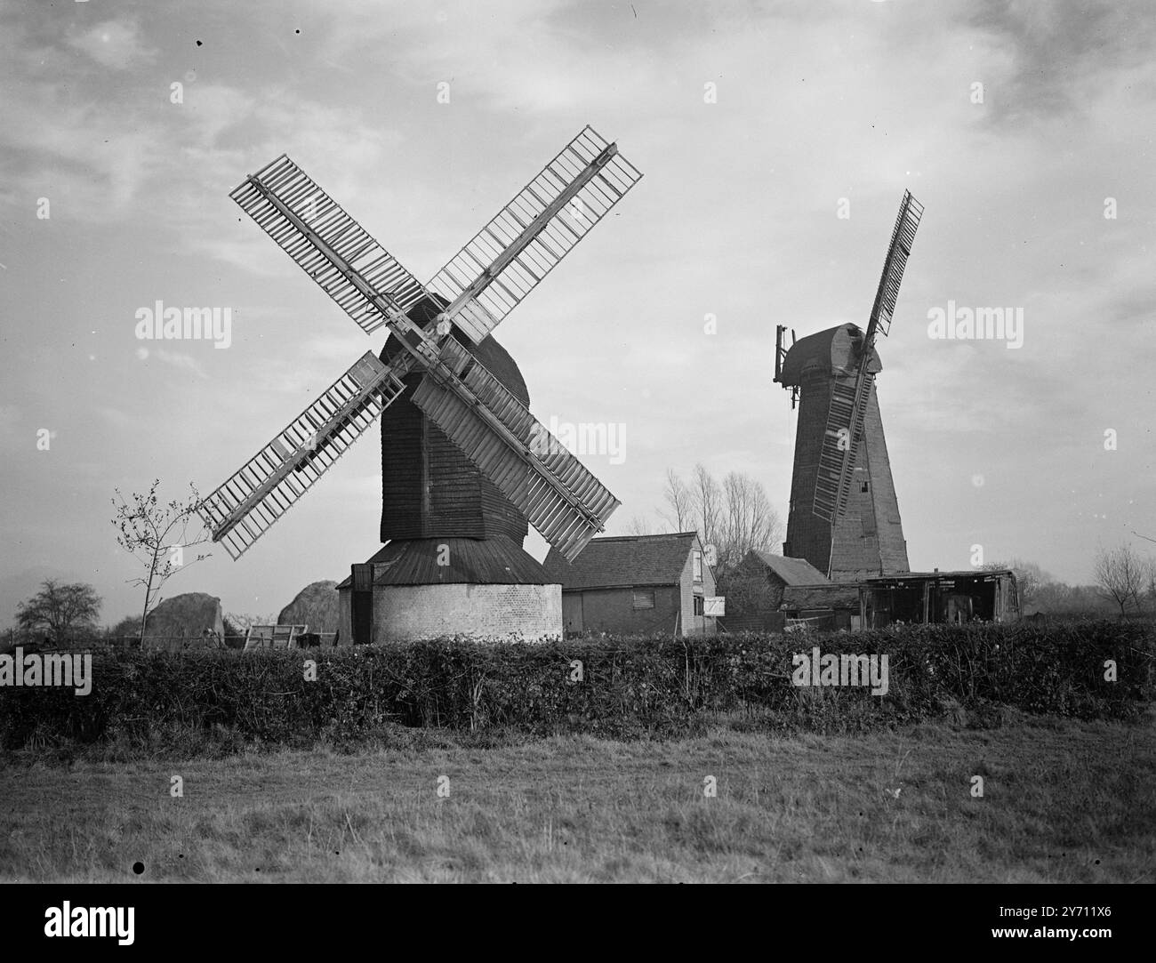 Two hedges Black and White Stock Photos & Images - Alamy