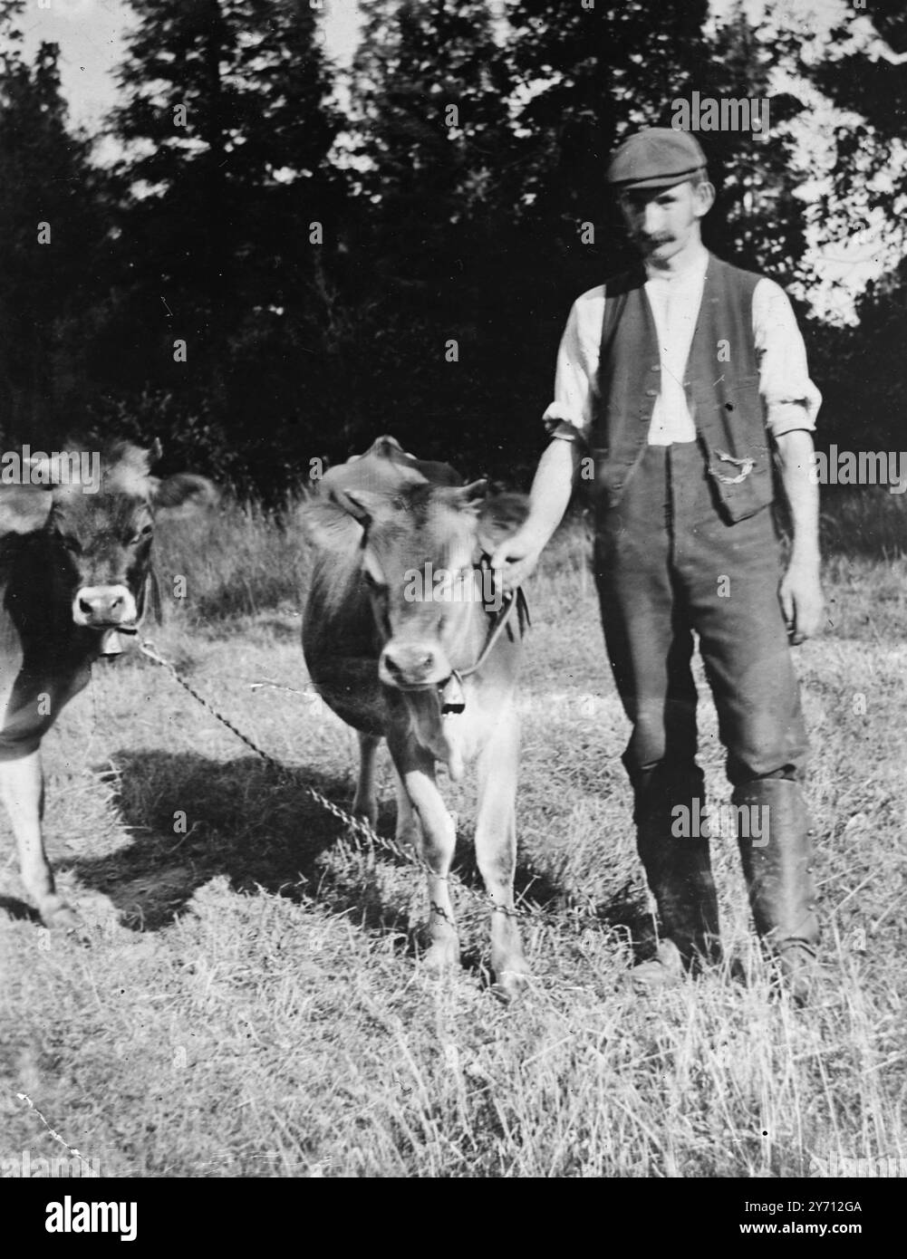 Old Farm Hand 1940 Stock Photo - Alamy