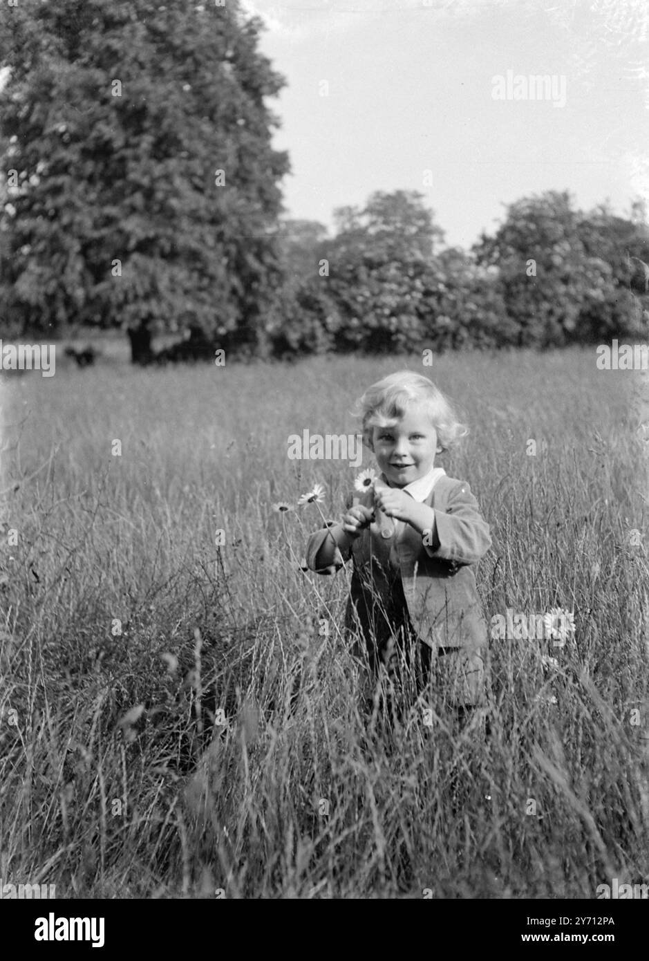 Cute boy picking flowers hi-res stock photography and images - Alamy