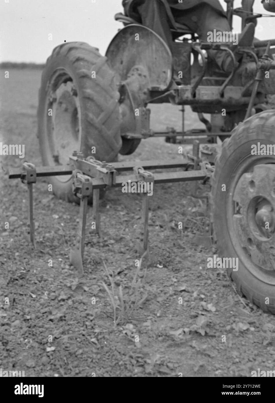 Row of Crop 1940 Stock Photo - Alamy