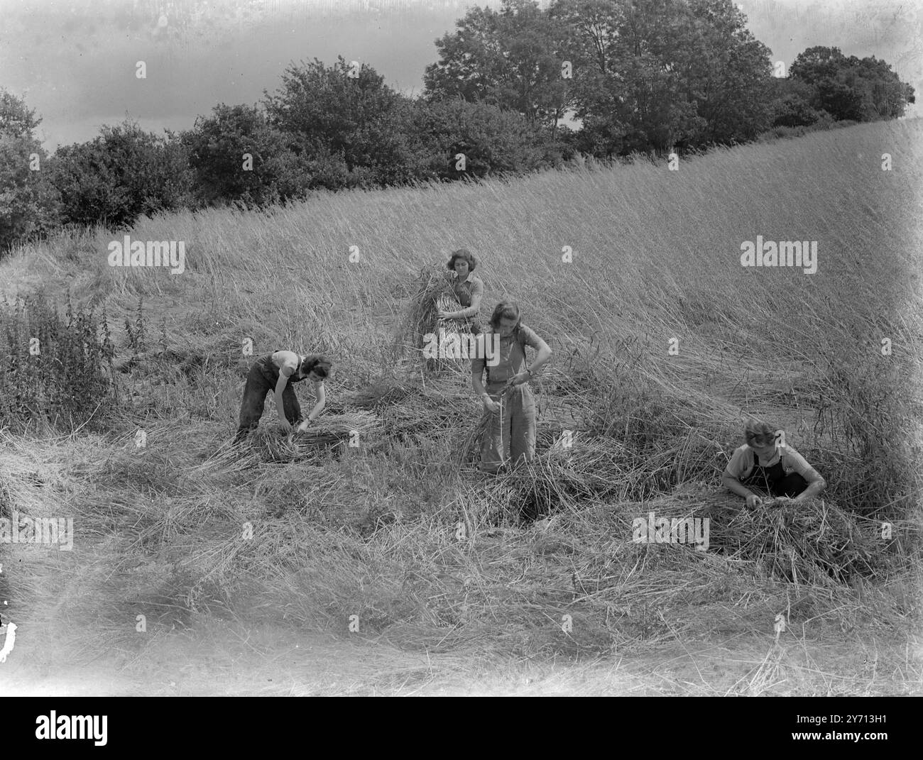 Farm School , Sissinghurst , Walthamstow Hall School Girls - Tieing up ...