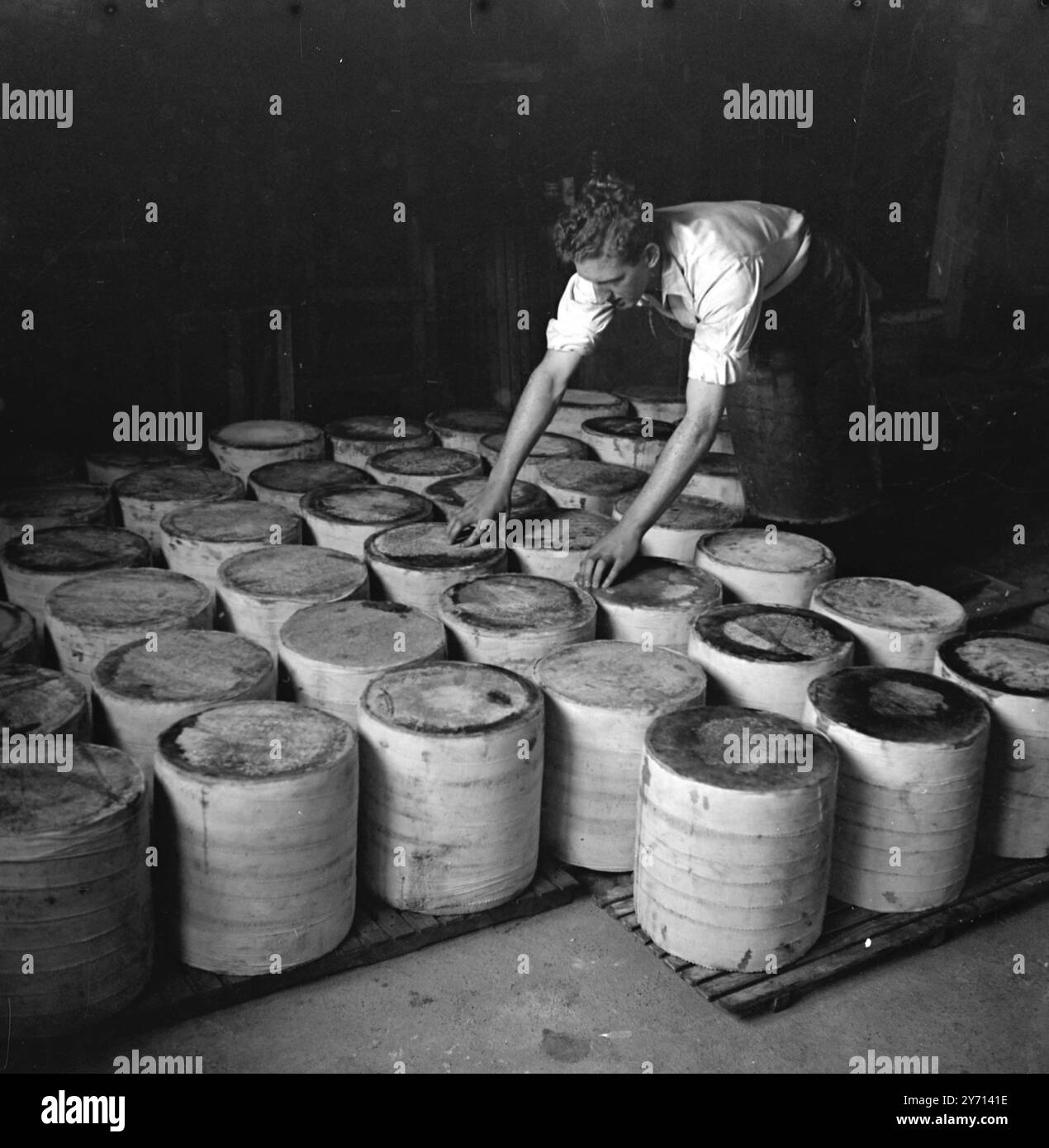 ORKNEY -Finished Cheddar Type Cheese . 1 January 1946 During harvest ...