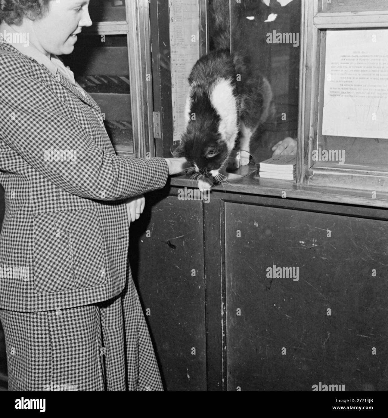 Station Cat . 6 May 1947 Stock Photo - Alamy