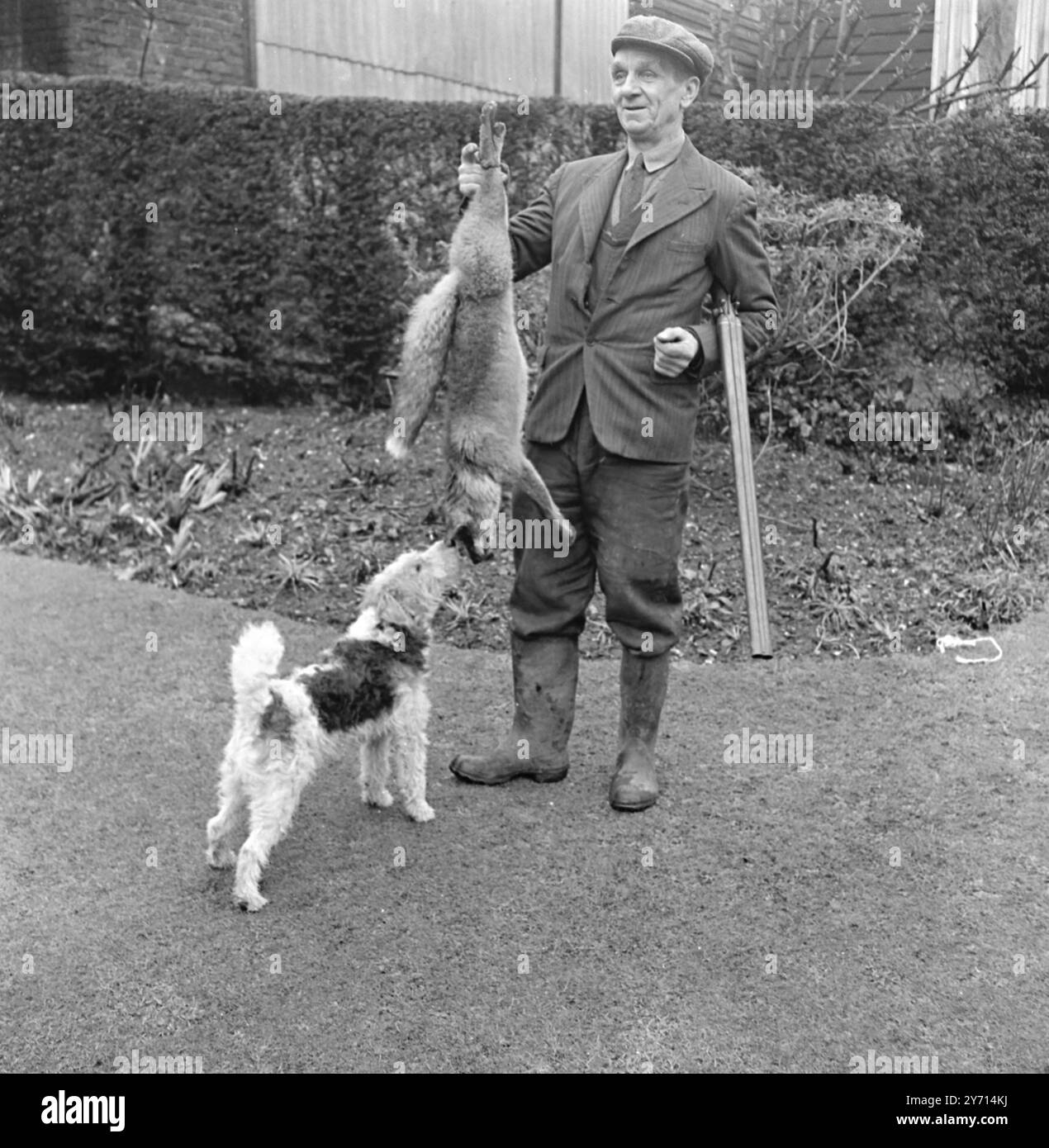 20th century fox 1947 hi-res stock photography and images - Alamy