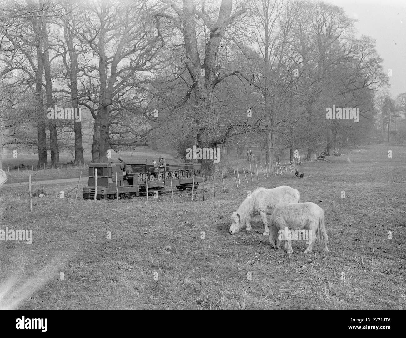 Maidstone Zoo - Miniature Railway . 1953 Stock Photo - Alamy