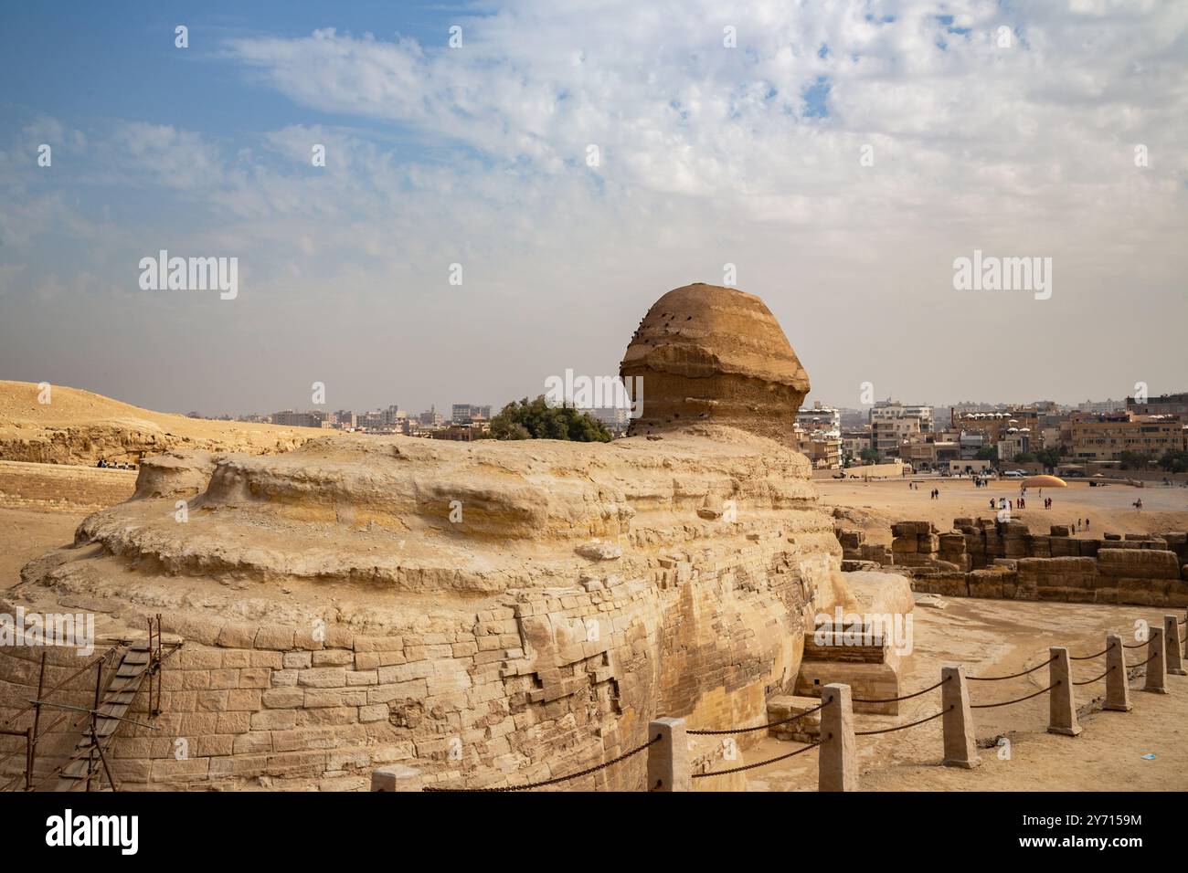 Sphinx Egypt portrait. Portrait of the Great Sphinx of Egypt close ...