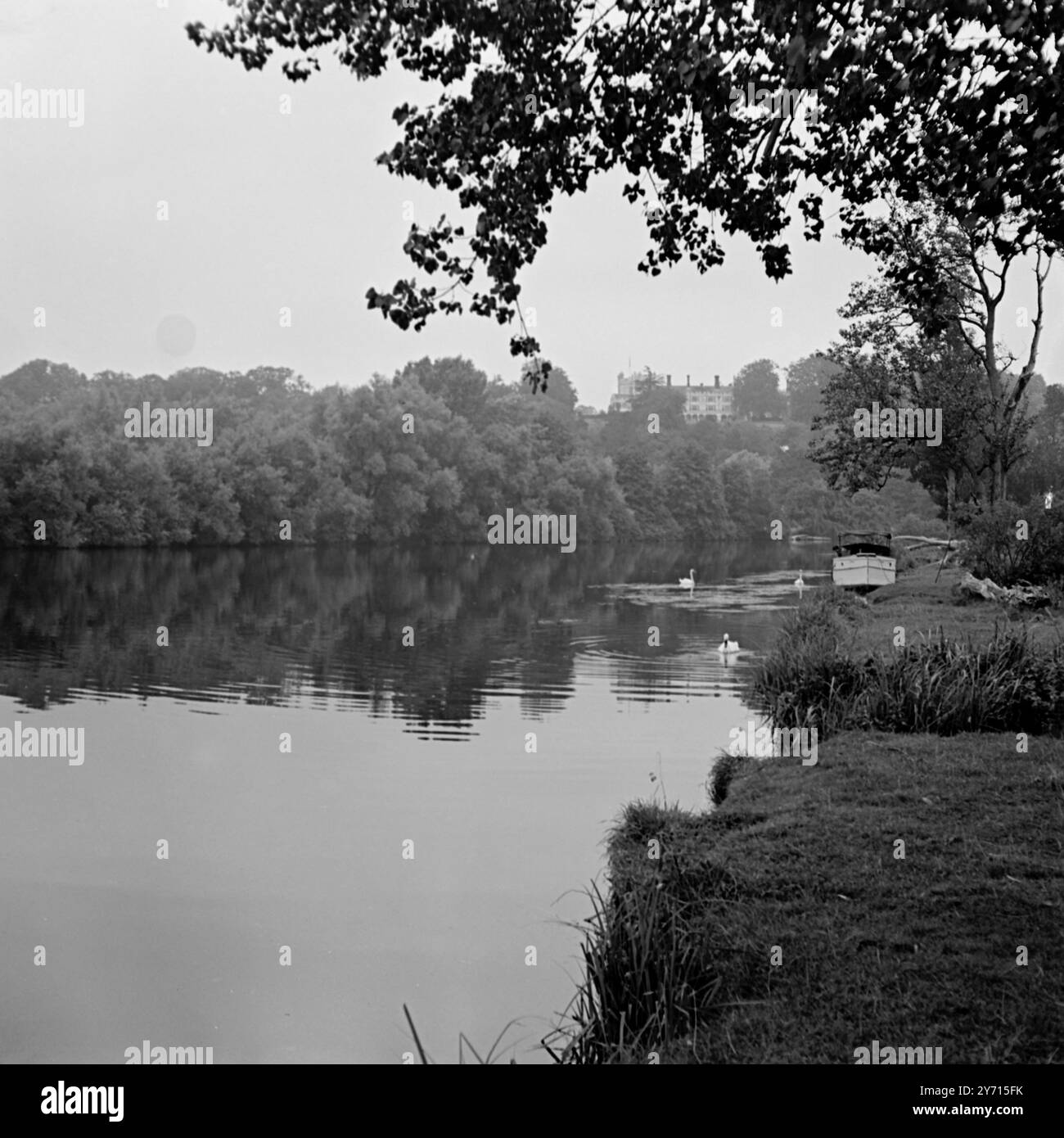 Black swans towers Black and White Stock Photos & Images - Alamy