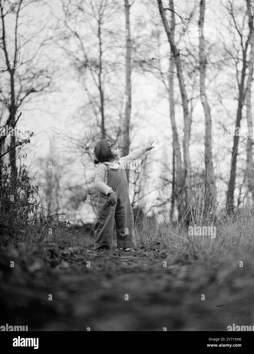 Glynne 01/01/1943 Stock Photo - Alamy