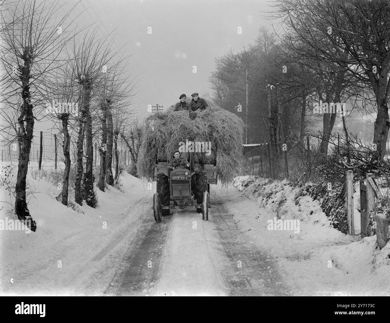 Grain carting hi-res stock photography and images - Alamy
