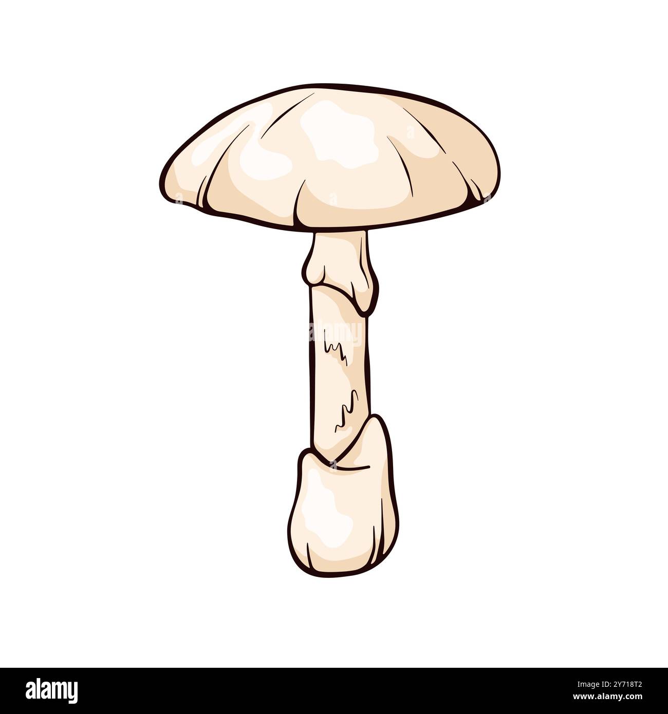 Death Cap Mushroom With A Pale White Cap And Stem In Cartoon Style Perfect For Nature Theme