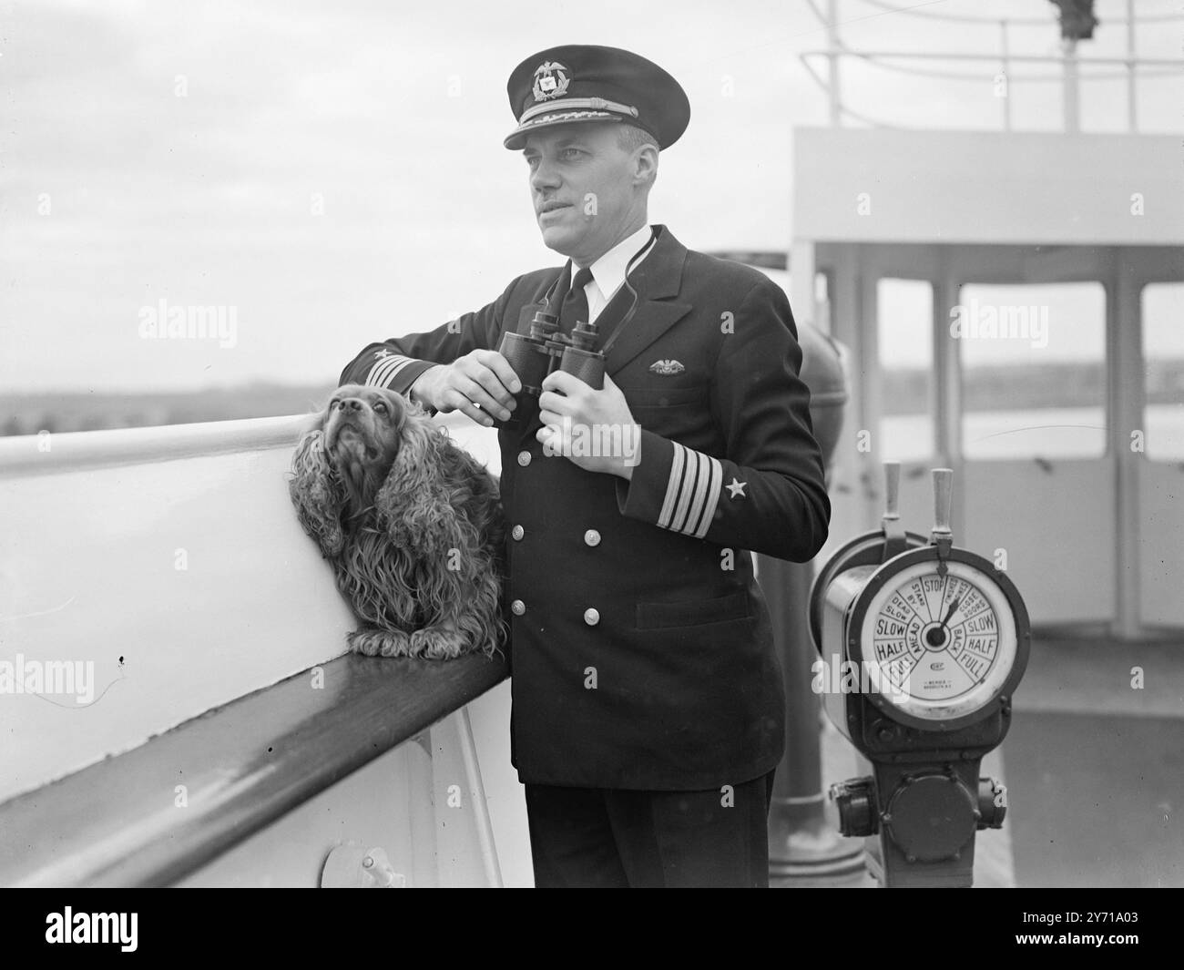 '' OLD SEA DOGS '' Here's a dog that has travelled over half a million ...