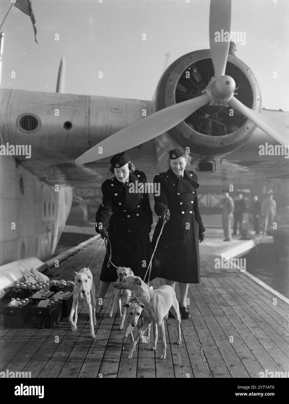 DOGS (EM) BARK Five Whippets left Southampton marine airport today ...