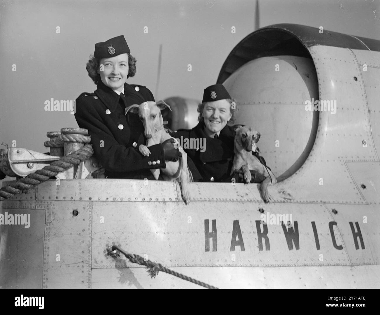 DOGS (EM) BARK Five Whippets left Southampton marine airport today ...