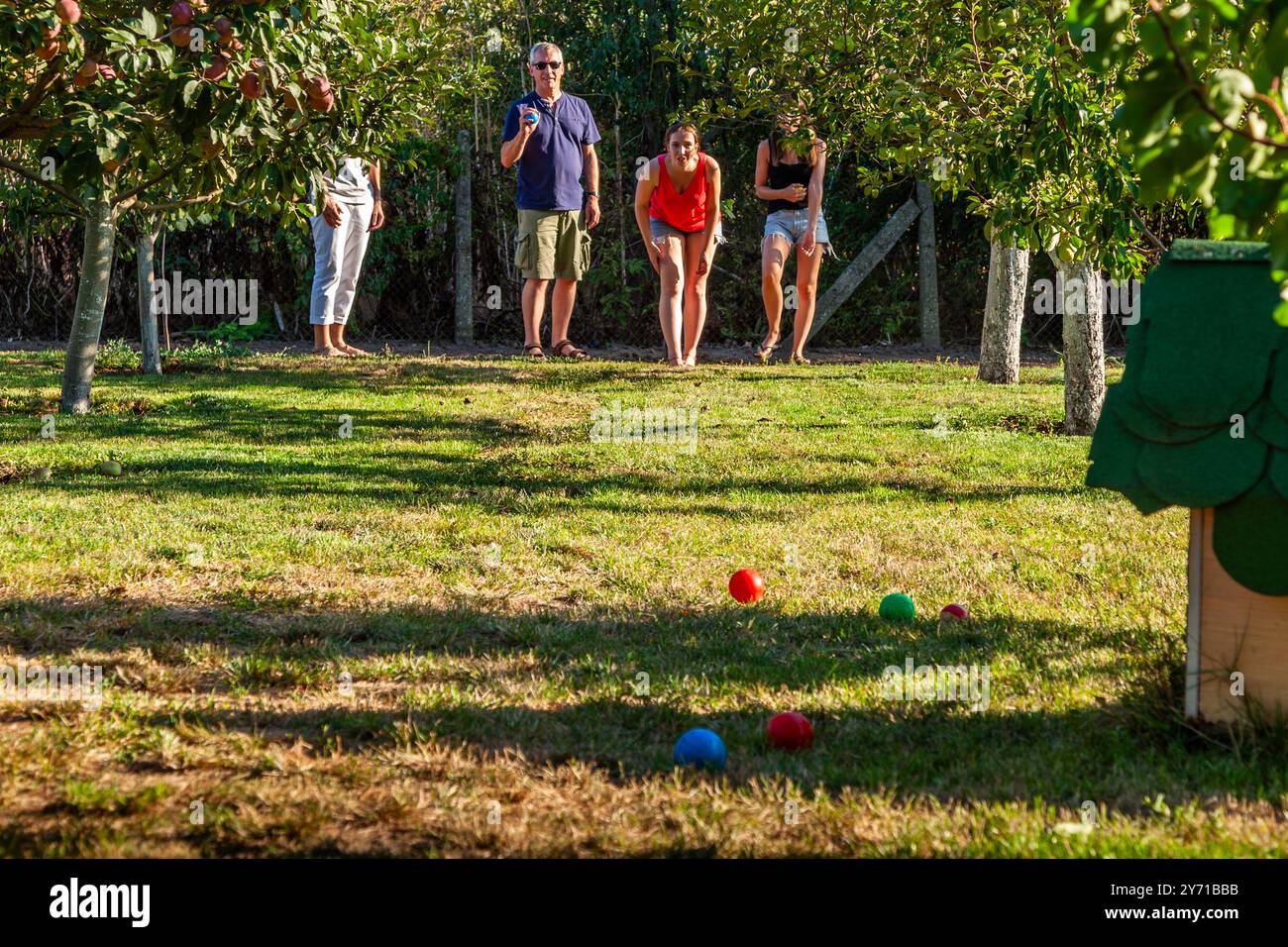 Bocchia among fruit trees in a Bulgarian dacha garden Stock Photo - Alamy