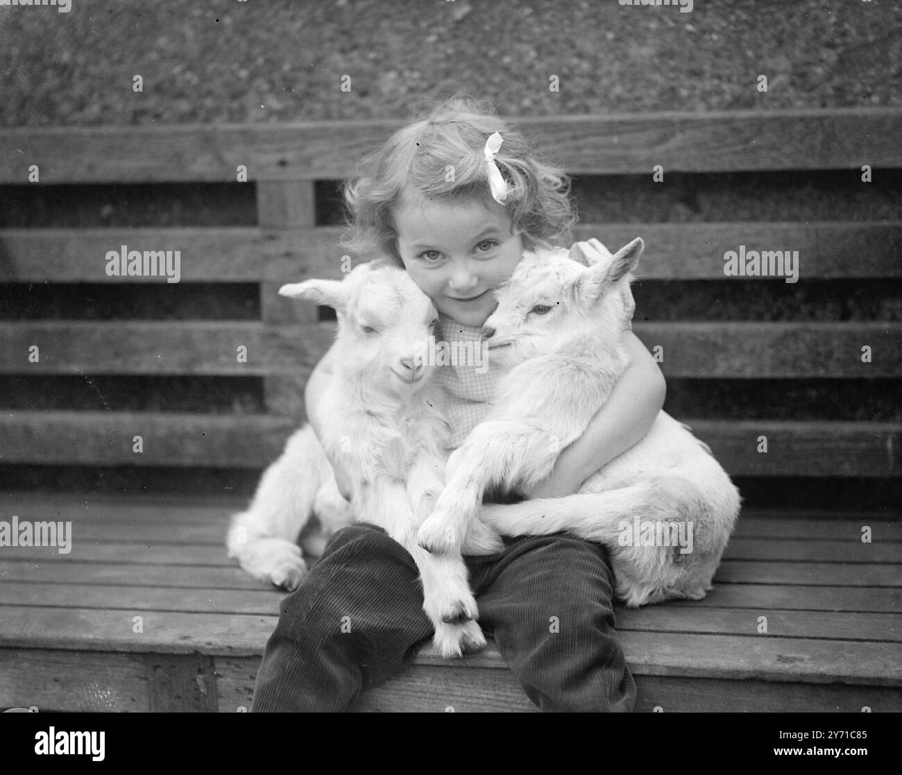 WE THREE '' Oh Mr . Keeper , may I take these Kids home ? asks 3- year ...