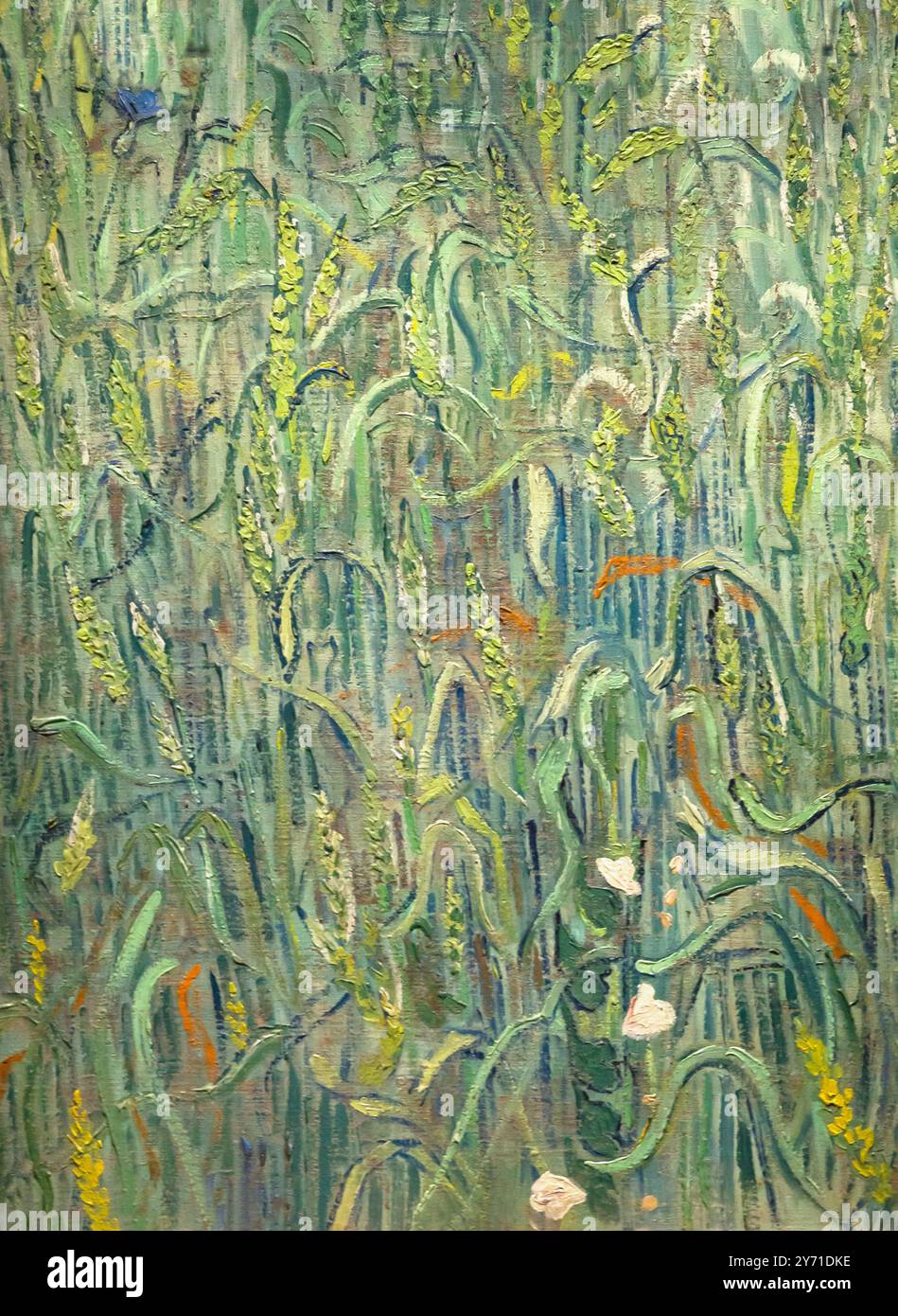 Ears of Wheat, Vincent van Gogh, 1890 Stock Photo - Alamy