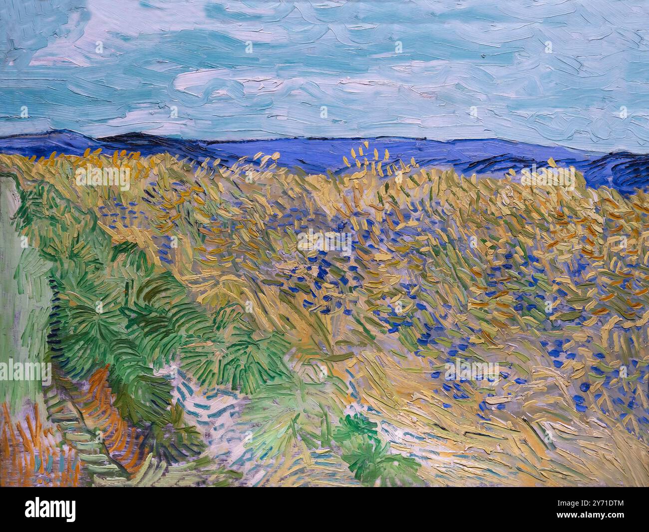 Wheatfield with Cornflowers, Champ de Ble avec Bleuets, Vincent van ...