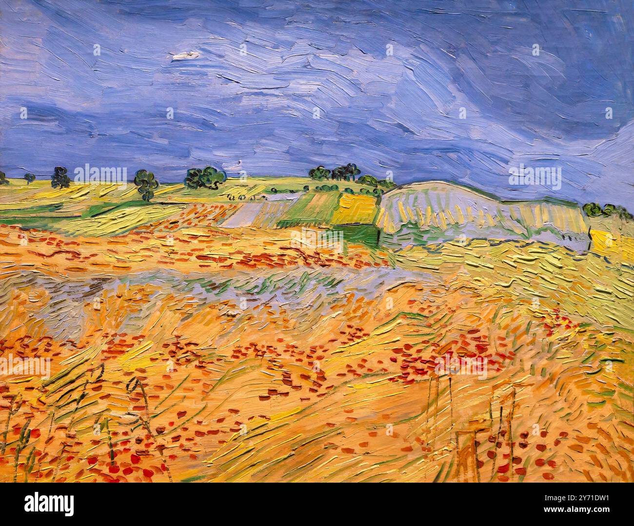 The Fields, Wheat fields, Wheatfields, Vincent van Gogh, 1890 Stock Photo - Alamy
