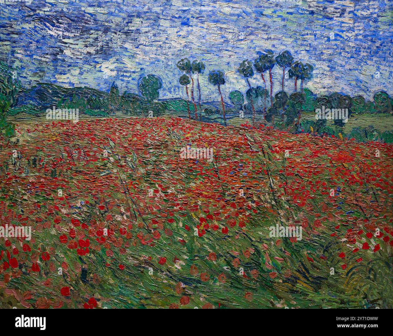 Poppy Field, Champs de Coquelicots, Vincent van Gogh, 1890 Stock Photo ...
