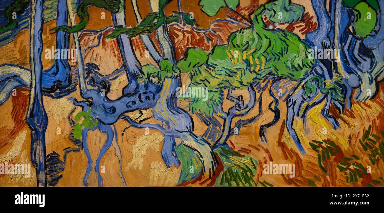 The Roots of Trees, Tree Roots, Racines D'Arbres, Vincent van Gogh ...