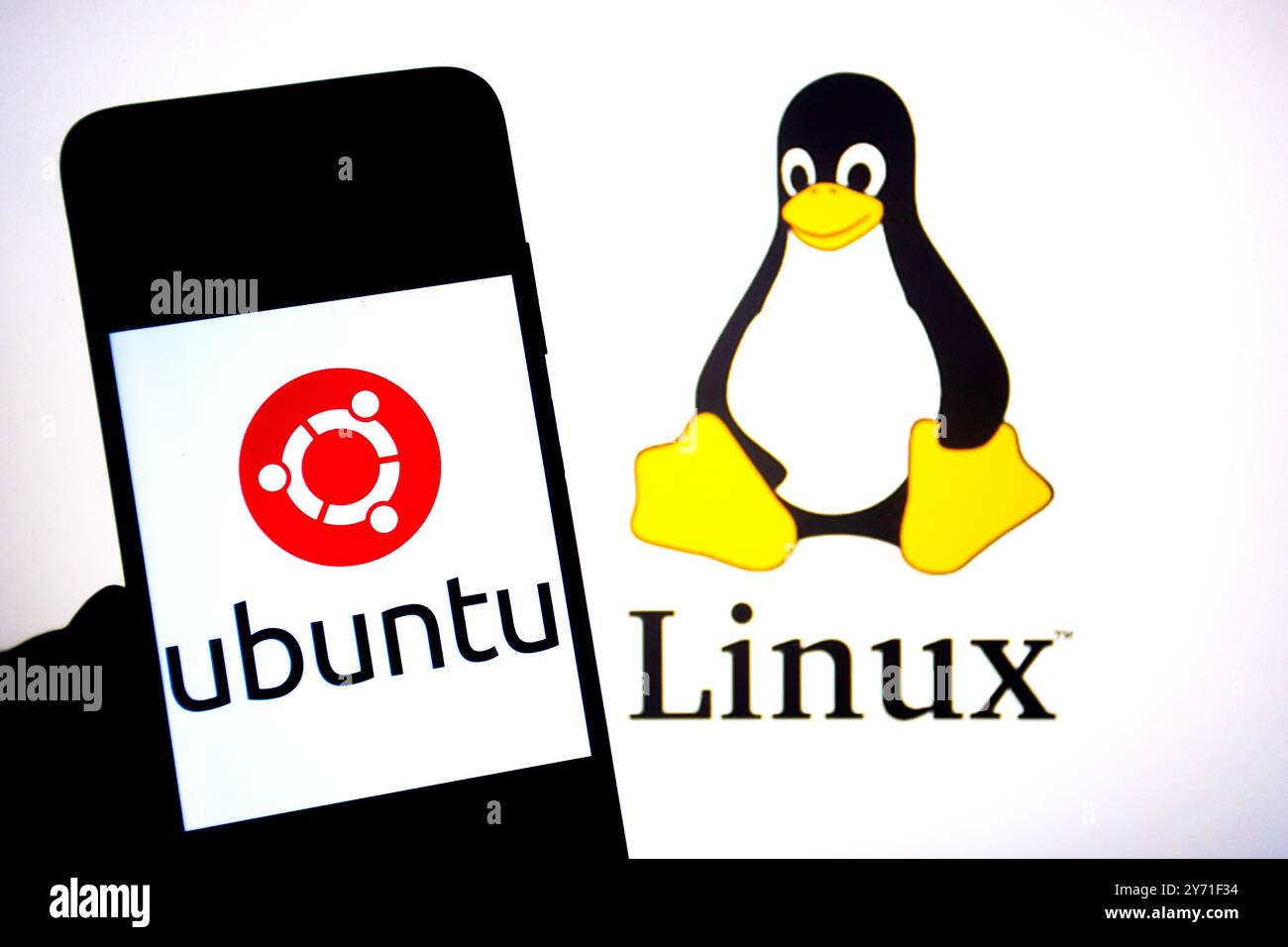 Logo Linux