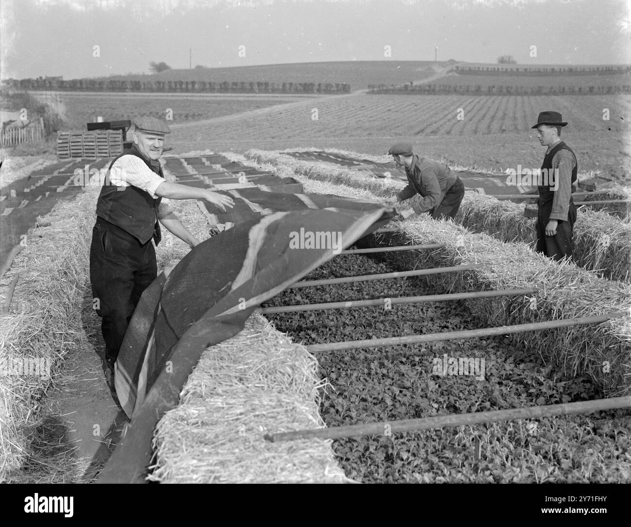 Protection nets Black and White Stock Photos & Images - Alamy