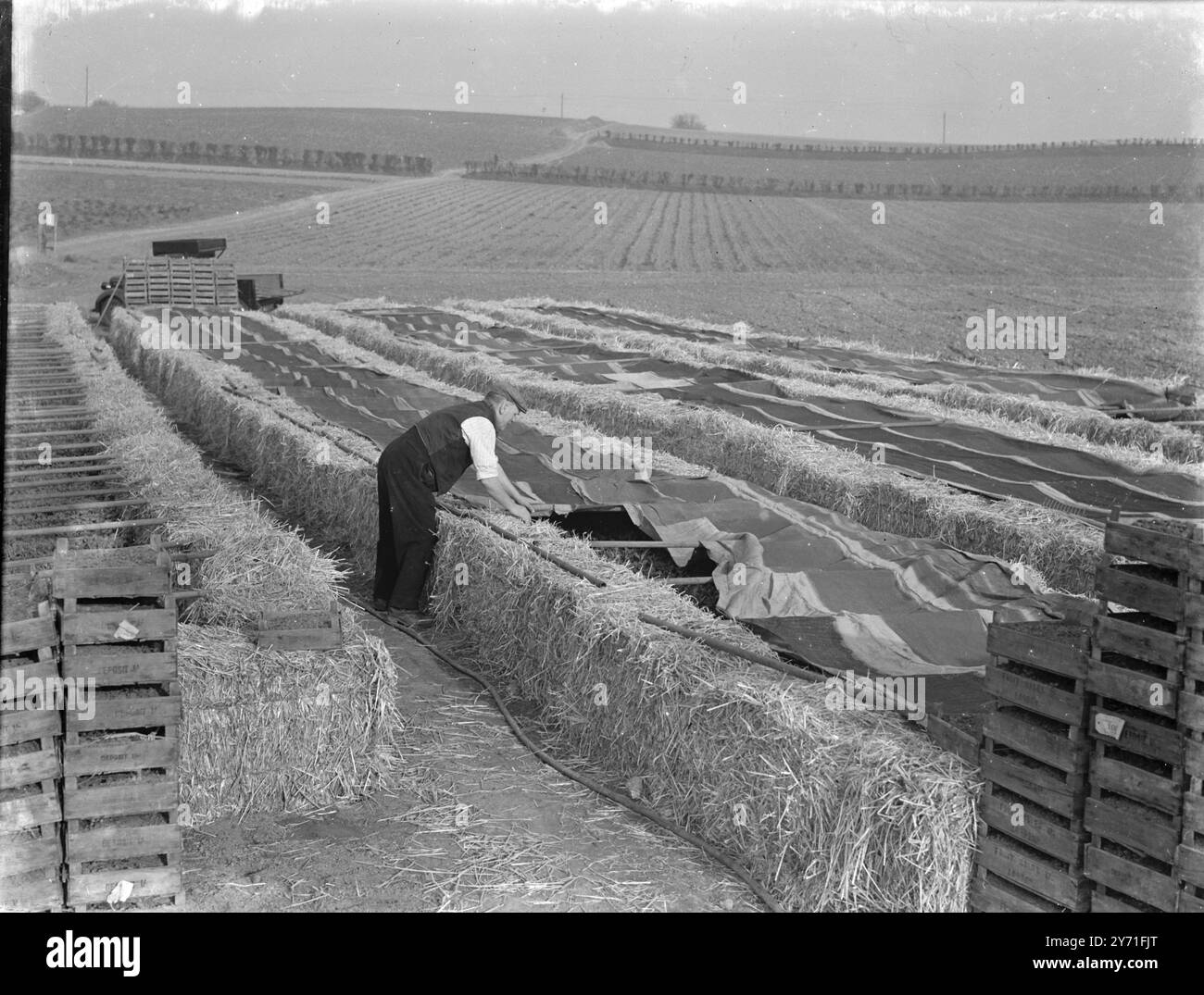 Protection nets Black and White Stock Photos & Images - Alamy