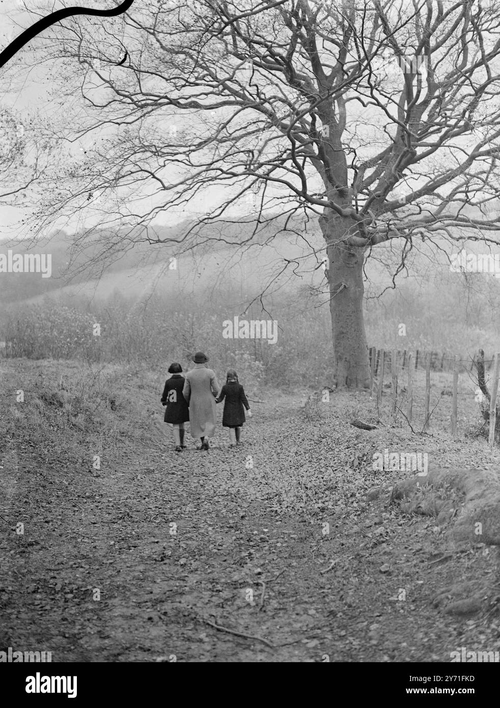 Autumn Scene . 1940 Stock Photo - Alamy