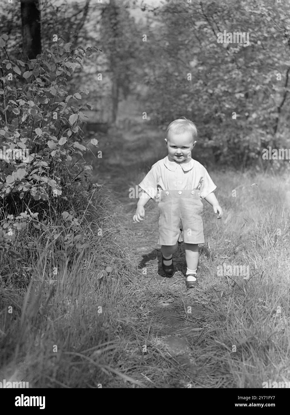 Brewer Baby 1940 Stock Photo - Alamy