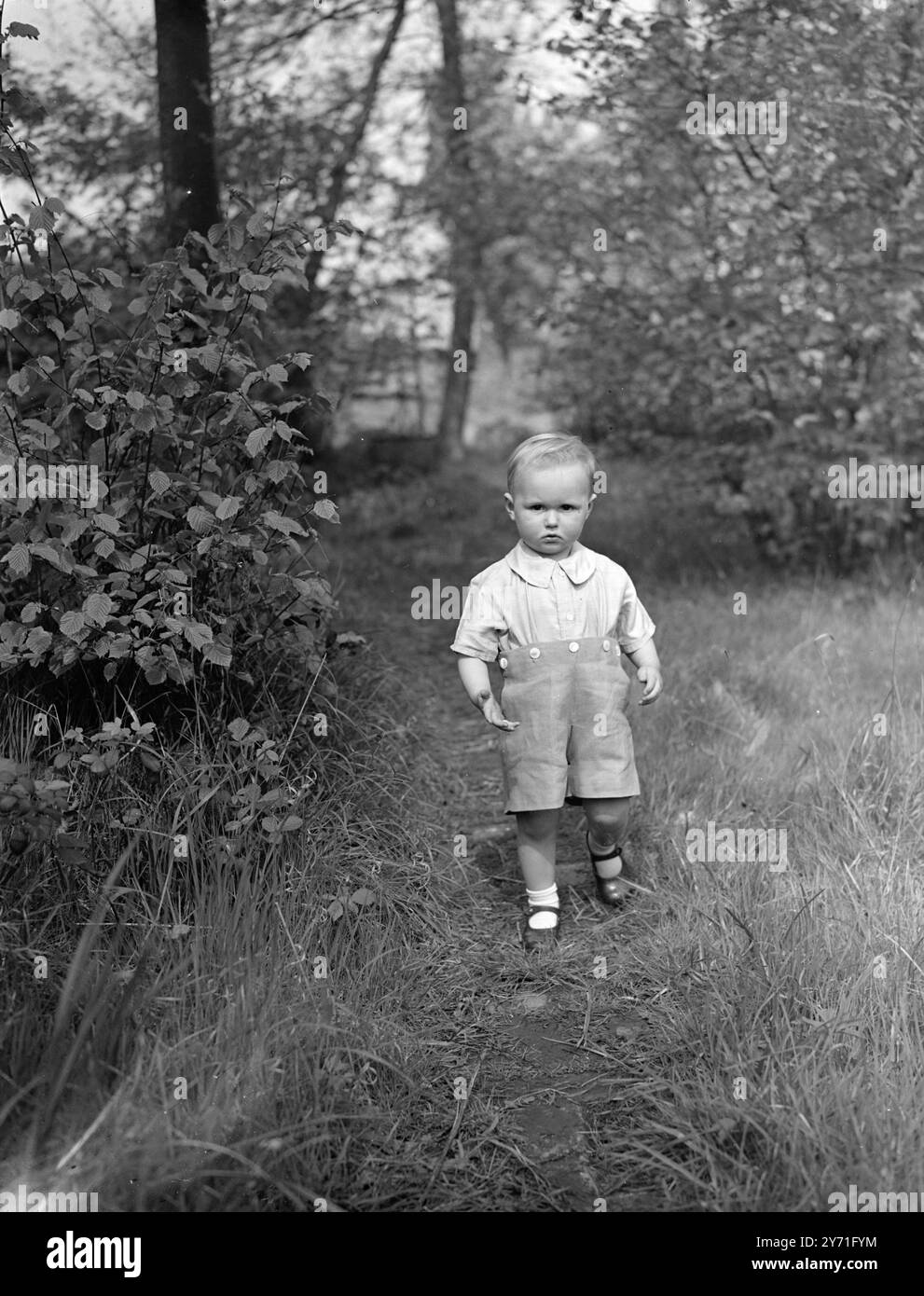 Brewer Baby 1940 Stock Photo - Alamy