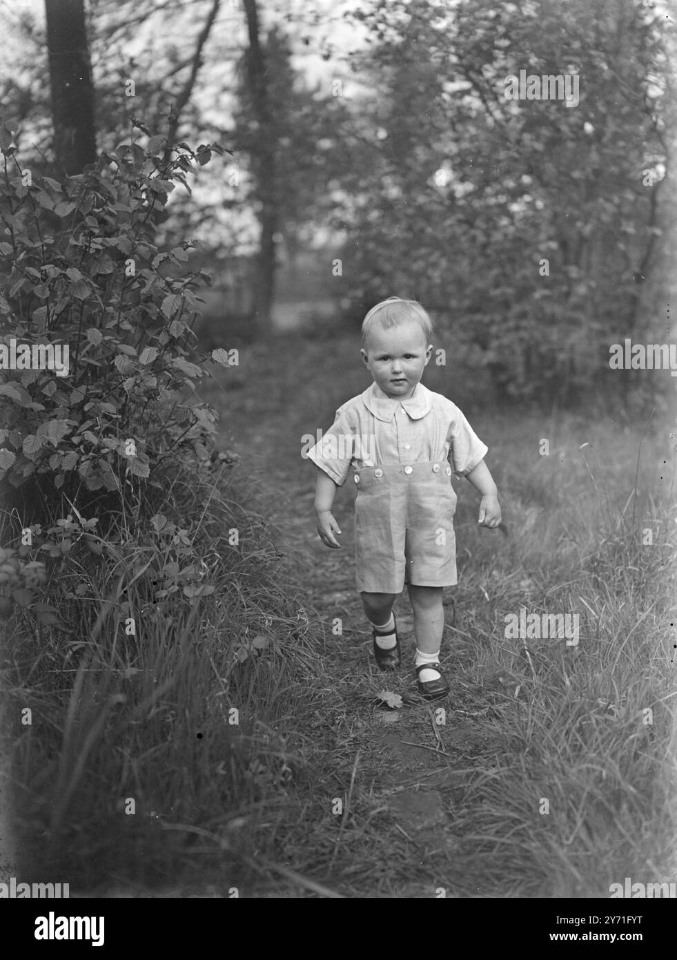 Brewer Baby 1940 Stock Photo - Alamy