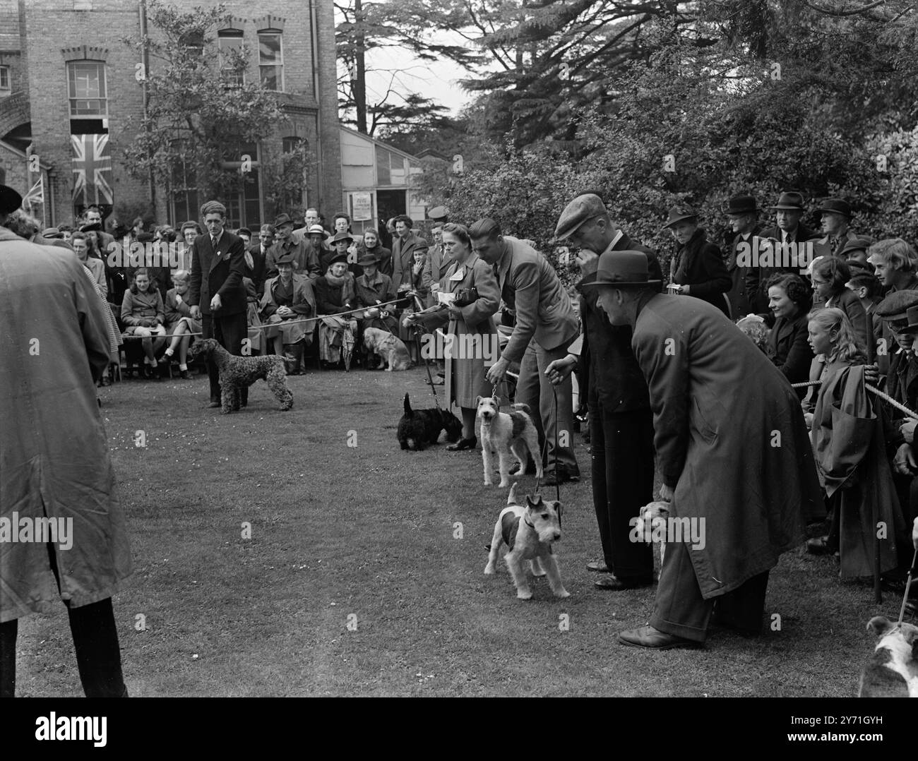 Dog Show - Bexley1940 Stock Photo - Alamy