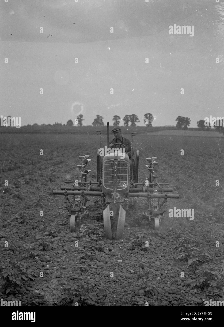 Row crop Black and White Stock Photos & Images - Alamy