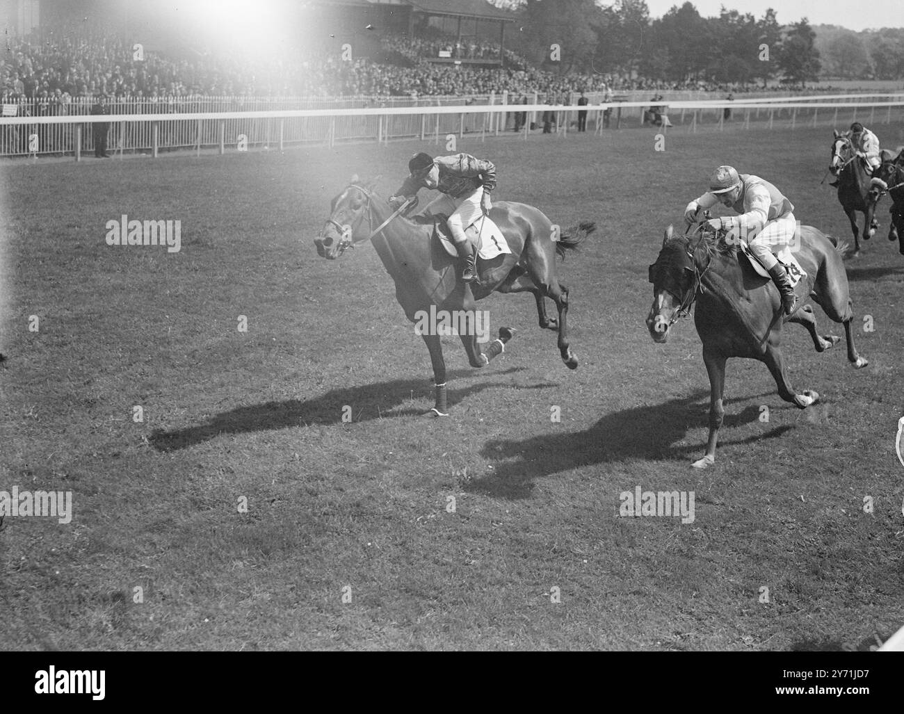 W 3 1 21 Black and White Stock Photos & Images - Alamy