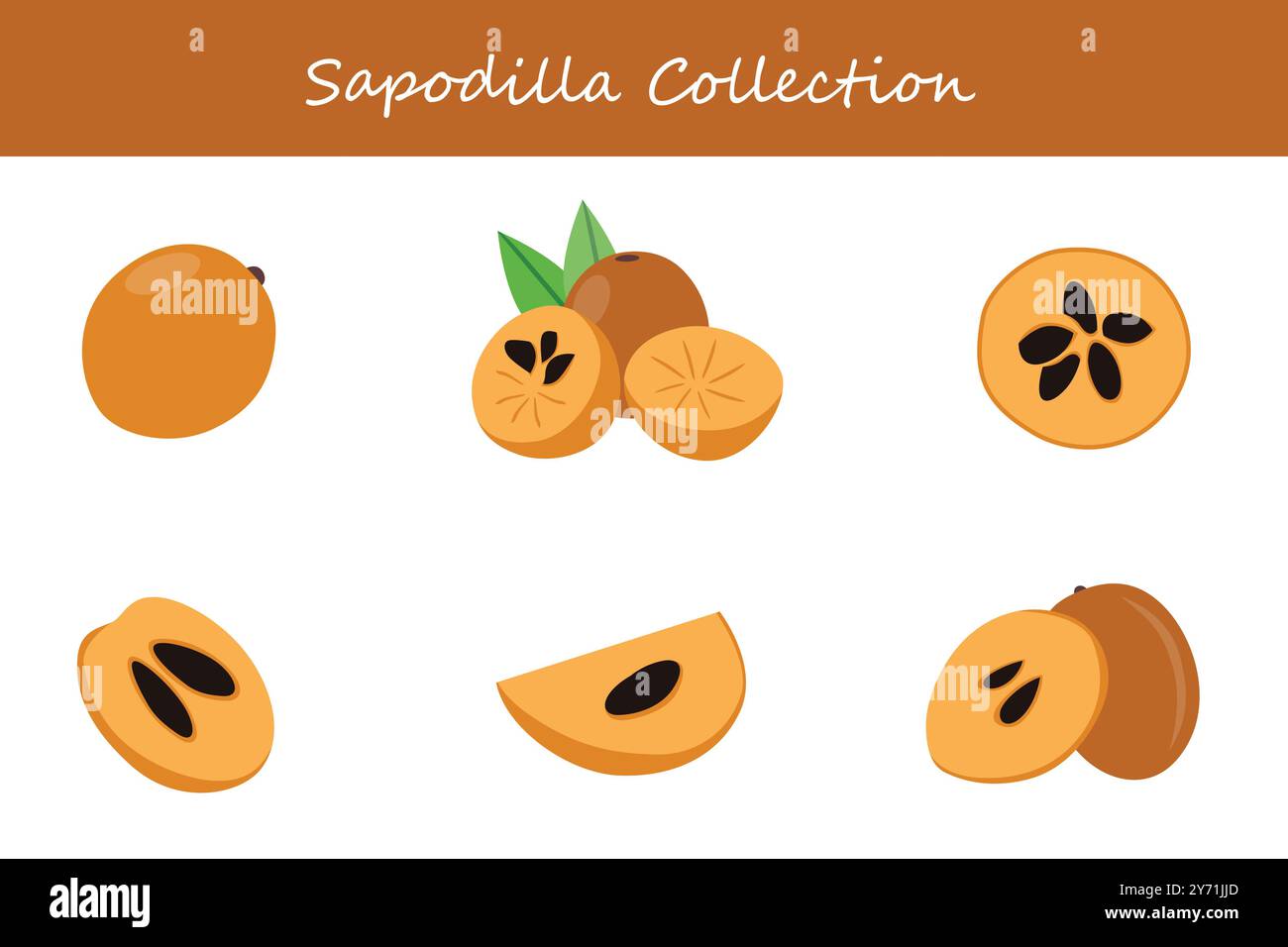 Sapodilla illustration hi-res stock photography and images - Alamy