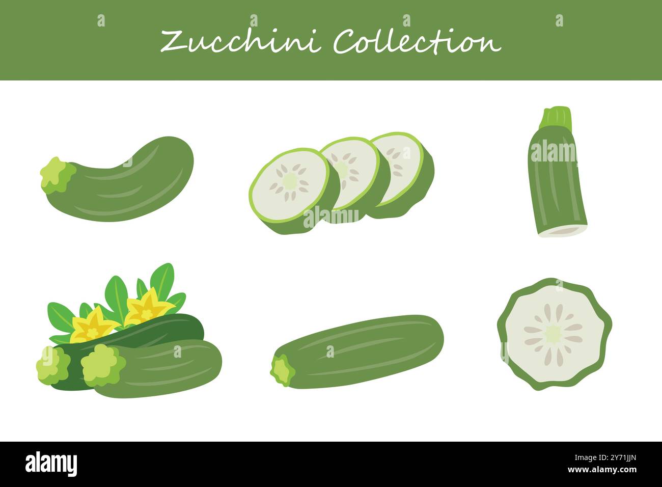 zucchini collection in different poses. Vector illustration Stock ...