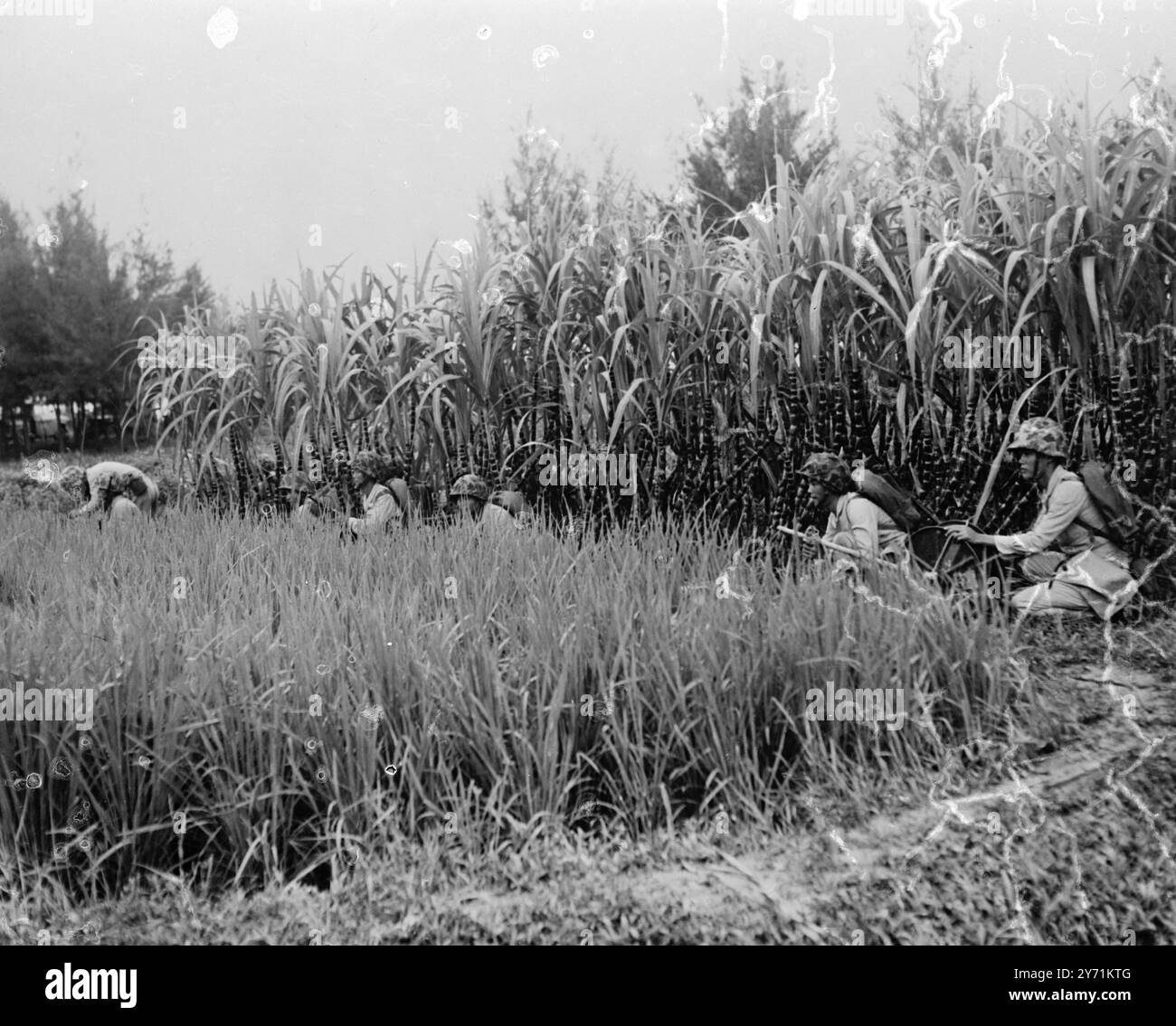 After landing by amphibious vessels on the island , Chinese Nationalist ...