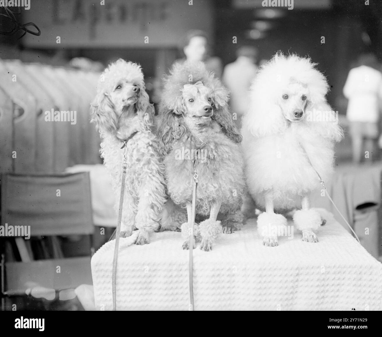 Frenches Black and White Stock Photos & Images - Alamy
