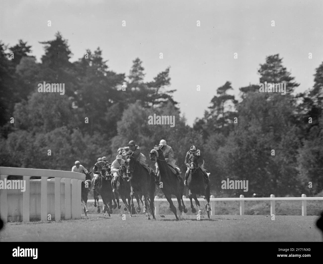 Hidden horse Black and White Stock Photos & Images - Alamy