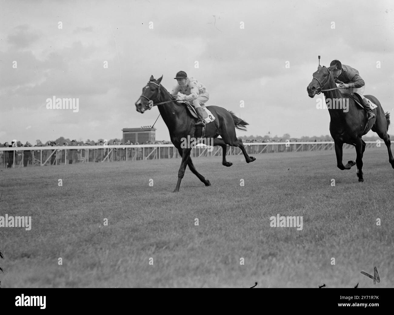 AMERICAN-BRED HORSE WINS AT HURST PARK The Cherimoya Stakes over six ...