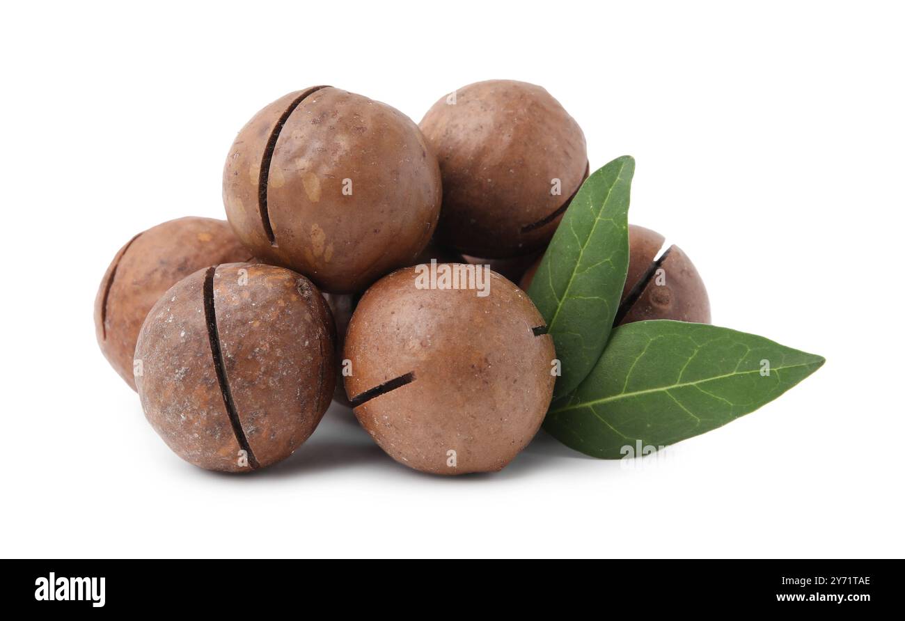 Nuts in shells hi-res stock photography and images - Alamy