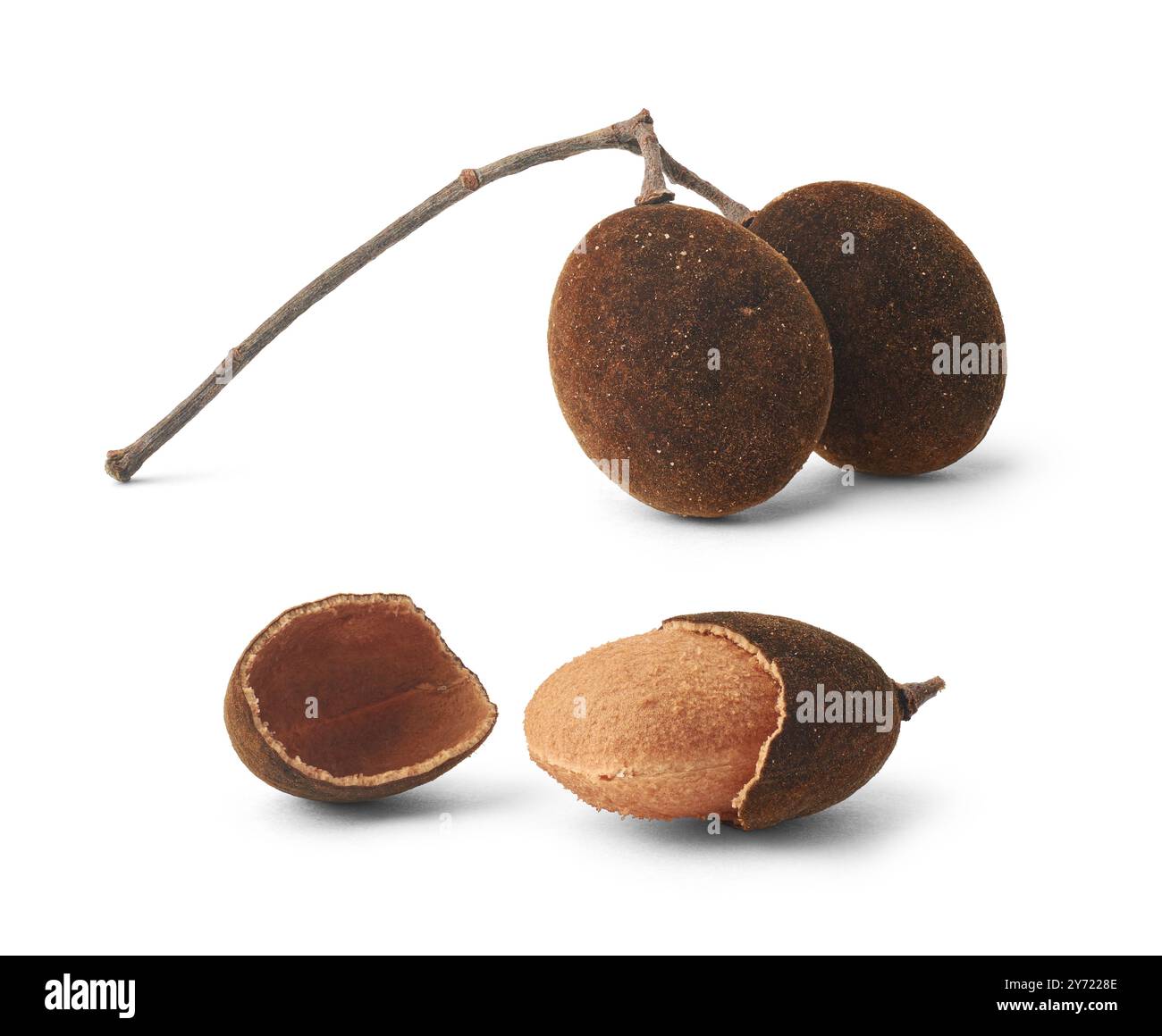 close-up of pebble or velvet tamarind with flesh isolated white ...