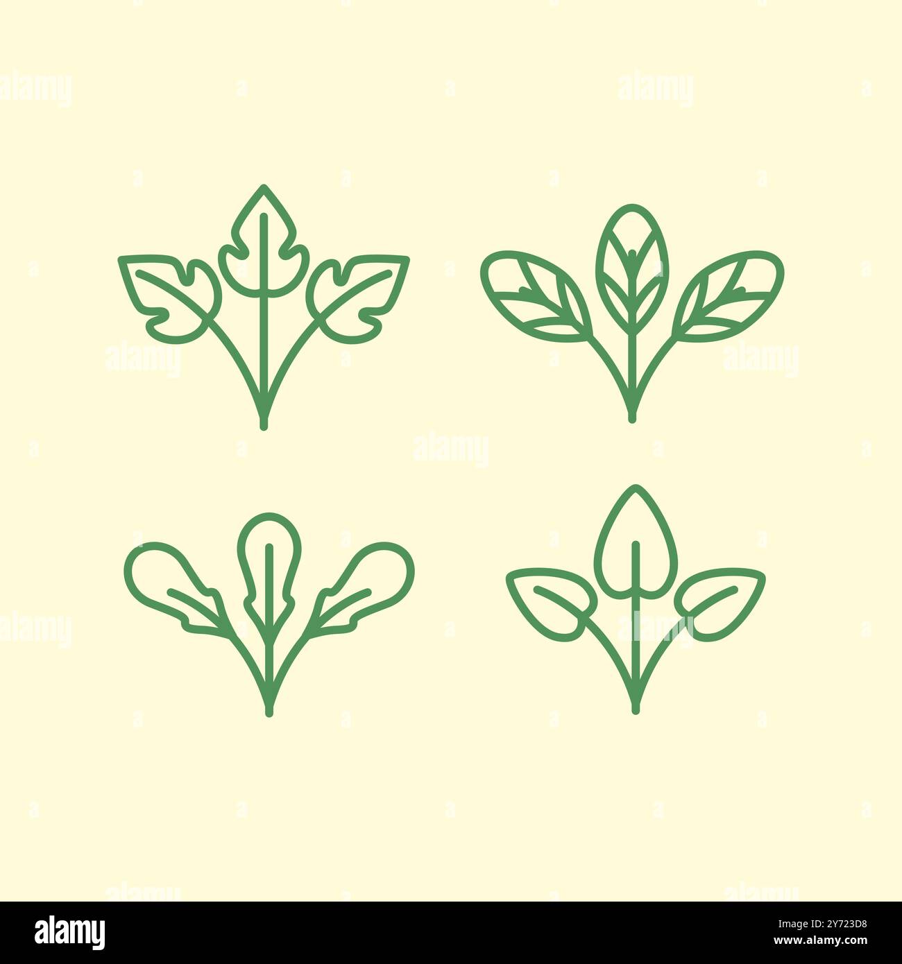 Plant groundcover Stock Vector Images - Alamy